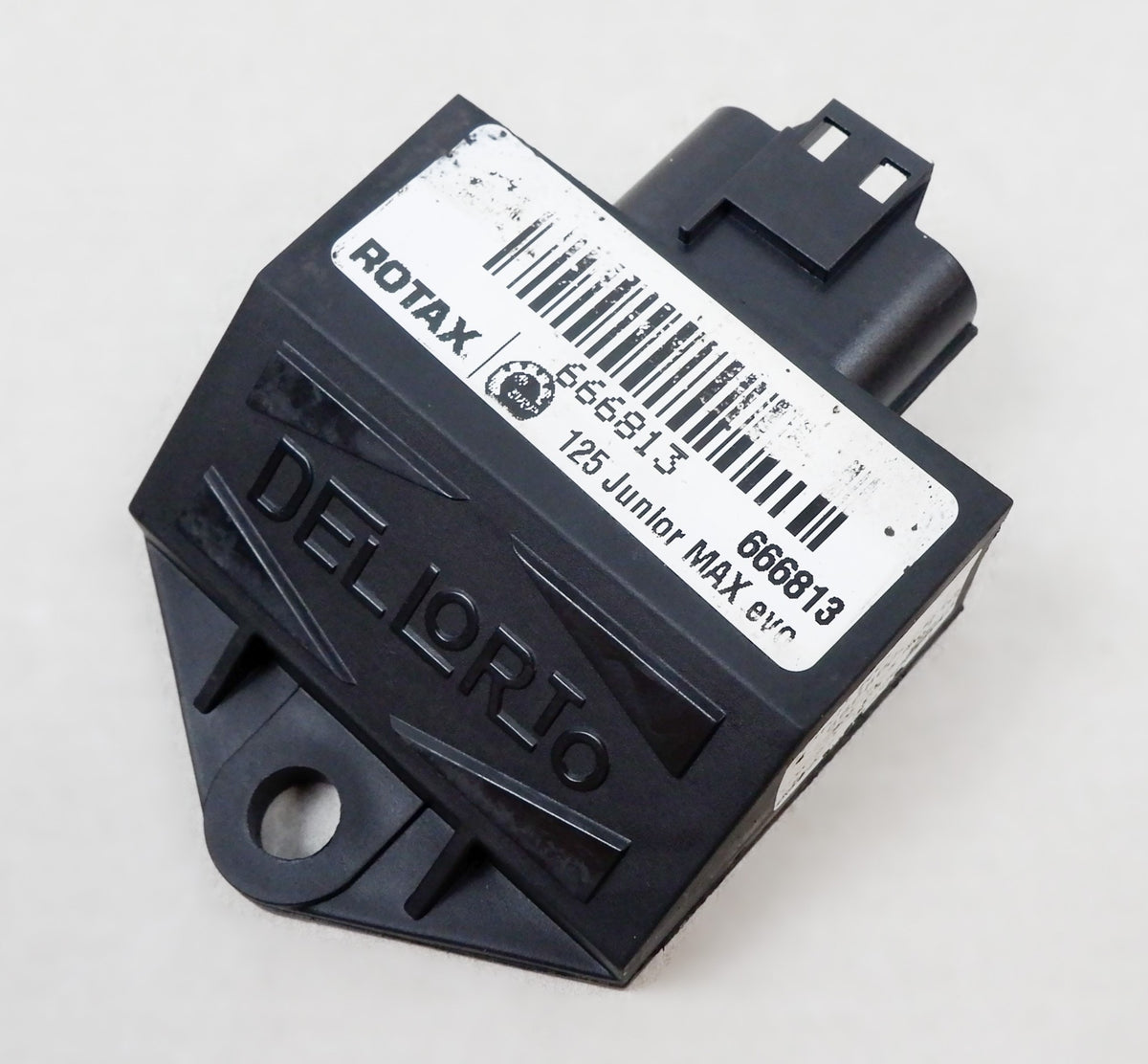 Rotax Max Dellorto Junior Max EVO ECU 666813 – LMR Kart Store